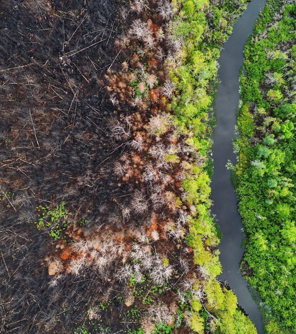 Calian CARES: Calian Collaborates with BC Communities to Prepare for ...