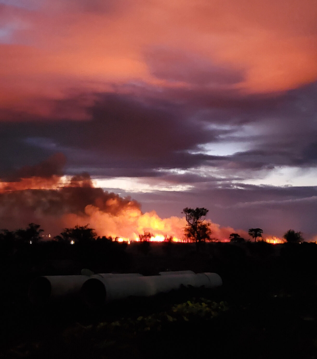 Calian CARES—Calian Restores Vital Communications Links Following Wildfires on Maui - Resources